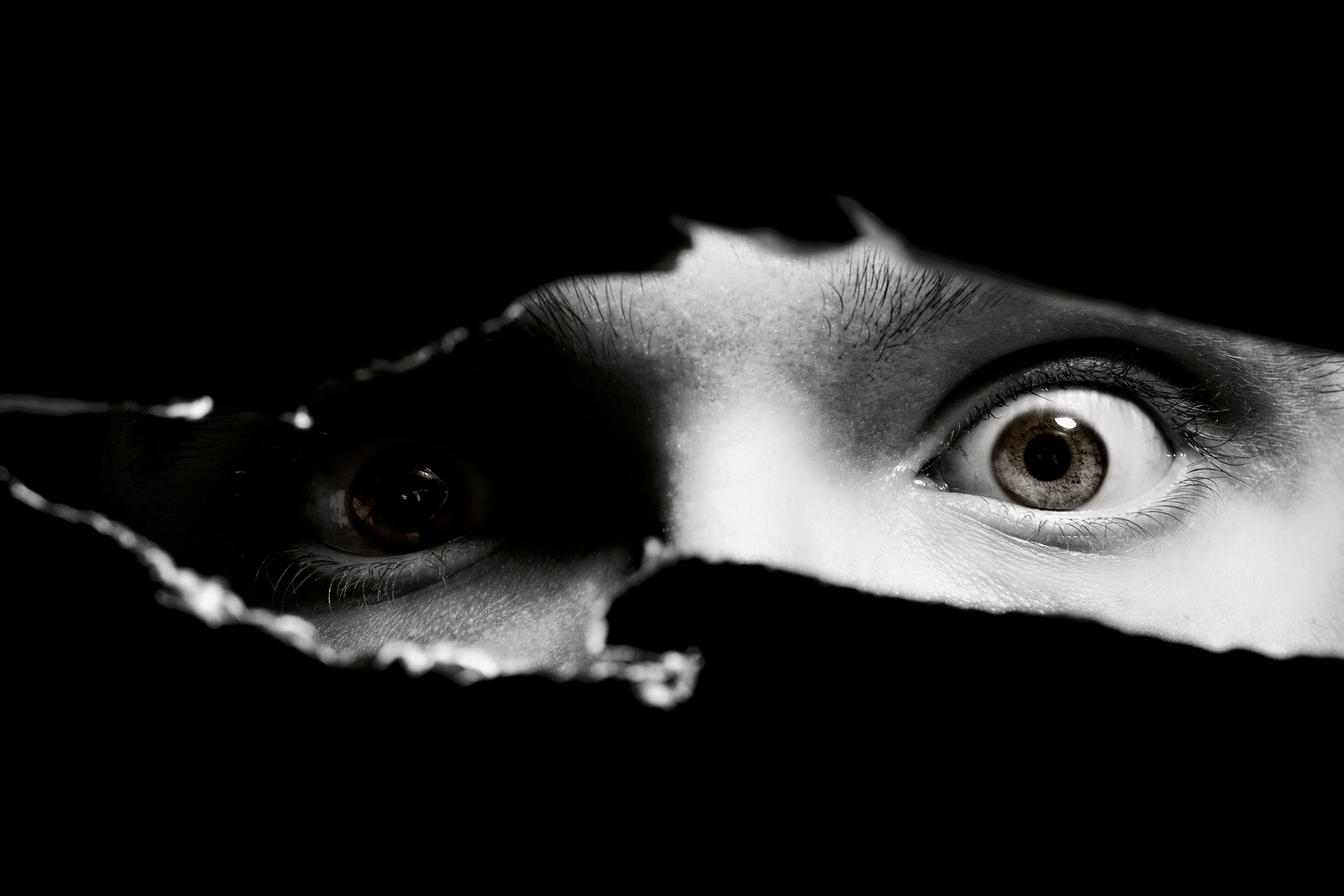 13 Quintessential Movie Genres And How To Identify Them | FILMD